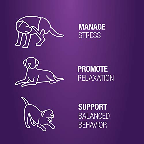 VetIQ Calming Support Supplement for Dogs, Anxiety Supplement Soft Chews,1 Count (Pack of 90)