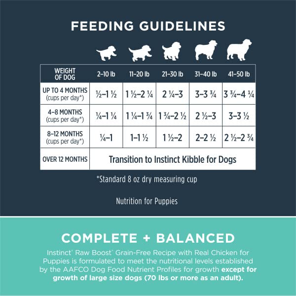 Instinct Raw Boost Puppy Grain Free Recipe with Real Chicken Natural Dry Dog Food, 10 lb. Bag