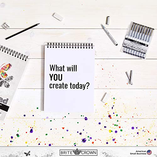 Brite Crown Drawing And Sketching Pens Set - 10 Black Fineliner Pens 0.2mm To 1.0mm Width Tips & 2.5mm Micro Calligraphy Brush-tip Pen, Ideal Gift Idea For Artists And Beginners