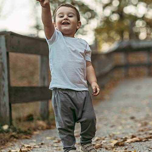 HonestBaby unisex baby Organic Cotton Cuff-less Harem Multi-pack Pants, 4-pack Gray Ombre, 6-9 Months US