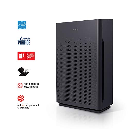Winix AM80 True HEPA Air Purifier with Washable Advanced Odor Control (AOC) Carbon Filter, 360sq ft Room Capacity, Dark Grey, Large