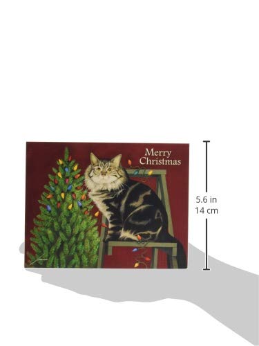 LANG Stringing Lights Boxed Christmas Cards, 18 Cards & 19 Envelopes, Full-Color Artwork Inside and Out, Fully Designed Envelopes, Linen-Embossed Paper Stock (1004833)