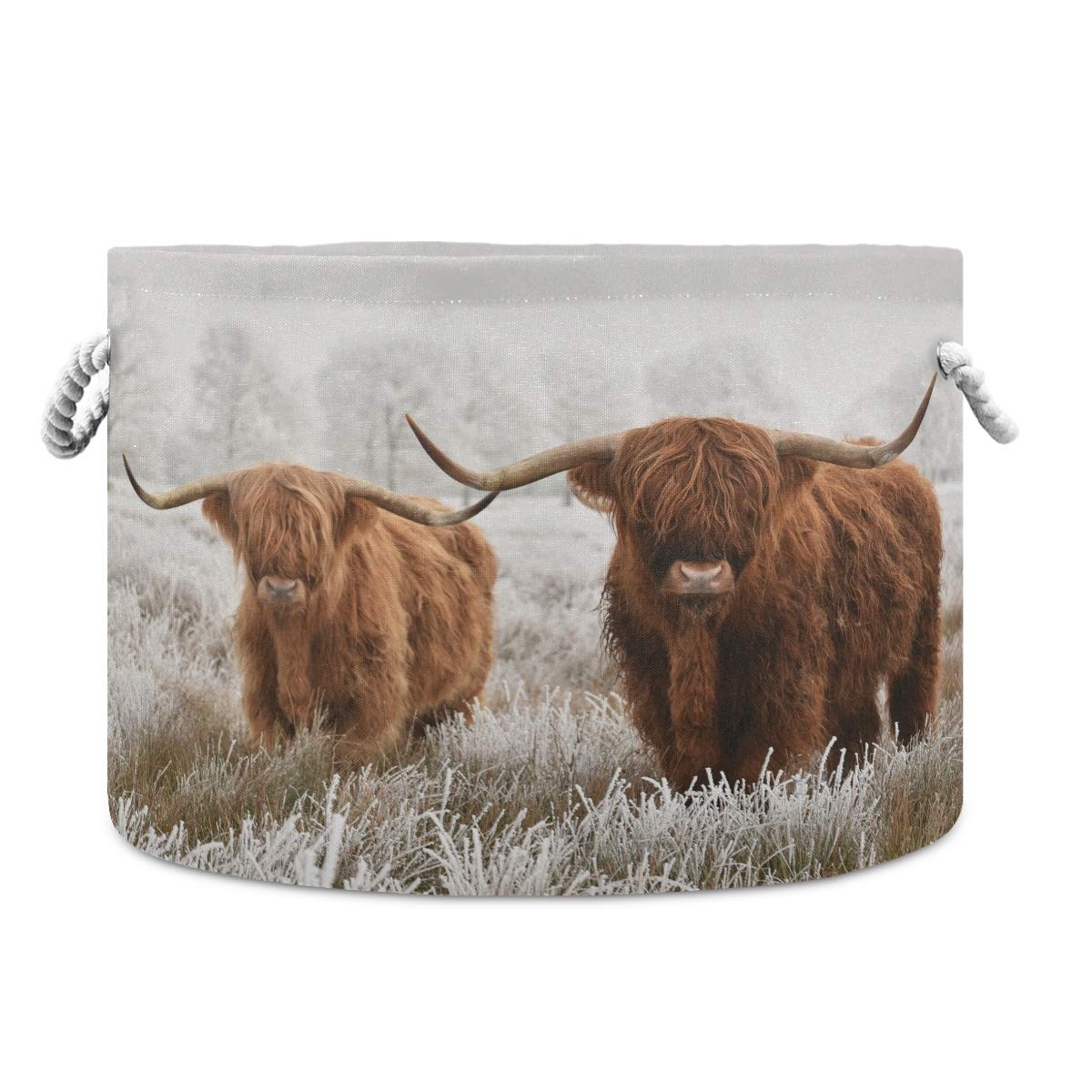 Scottish Highland Cow Cotton Rope Basket, XXX Large Collapsible Storage Basket for Toys, Pillows, Blankets in Living Room, Laundry Room, Bathroom, Home Decor