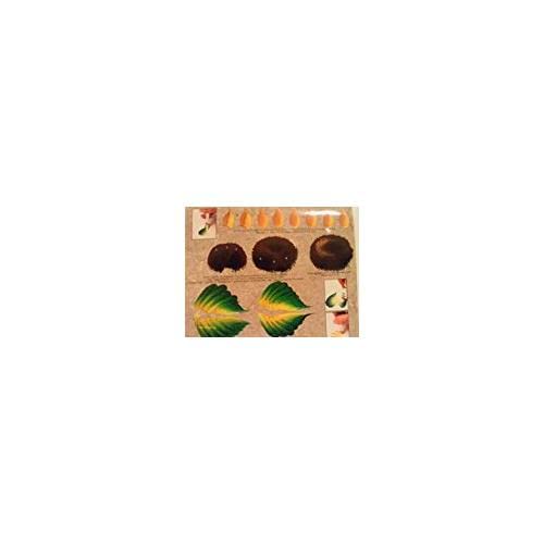 Donna Dewberry n//a Folk Art One Stroke Reusable Teaching Guide-Sunflower