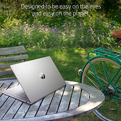 HP [Windows 11 Pro] 17.3" HD Touchscreen Business Laptop, AMD Ryzen 5-5500U, 16GB RAM, 512GB SSD, HDMI, WiFi, Type-C, Full-Size Keyboard, Numeric Keypad, Long Battery Life
