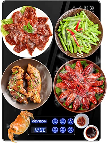 Buffet Warming Tray Hot Plate with Adjustable Temperature Control, Party Chafing Dish, Electric Food Warmer for Kitchen, Dining Room,Black,16x11inch (Black 31x19inch)