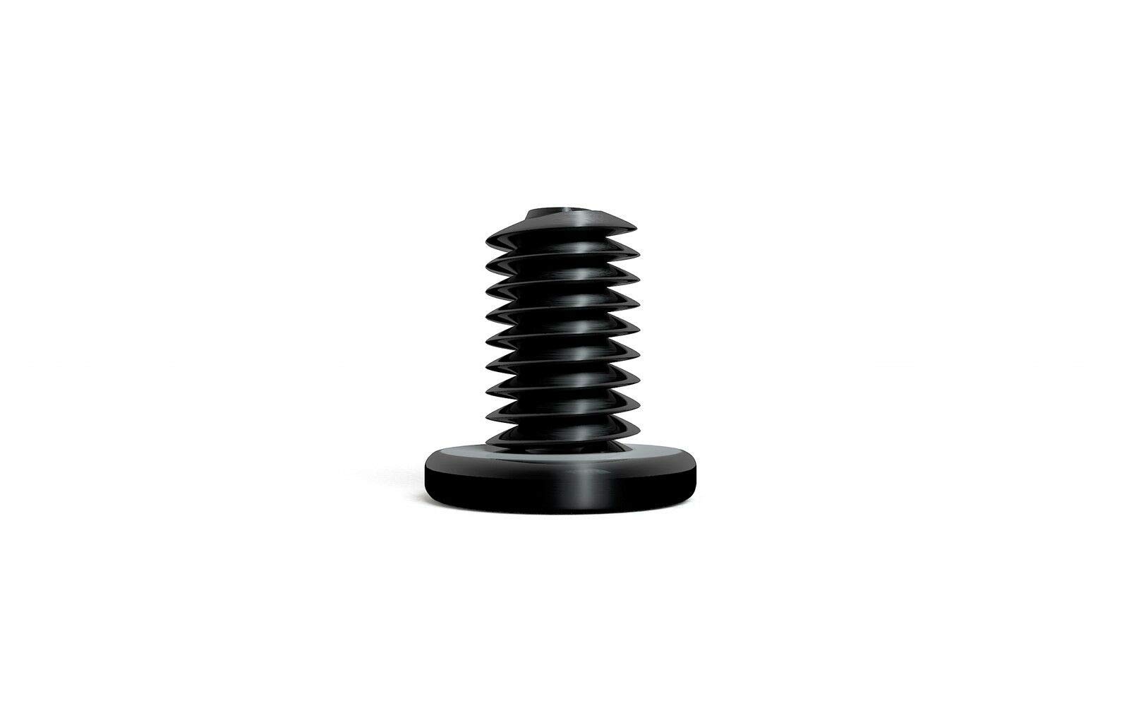 RapidSparesLtd 12x Screws M2.5X4mm M2.5X4L HP Pavilion DV1000 DV2000 DV6000 DV9000 F700 F500