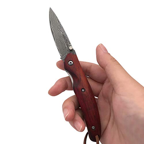 ALBATROSS HGDK004 Awesome EDC Damascus Pocket Folding Knife lanyard, Rosewood Handle, Gifts/Collections