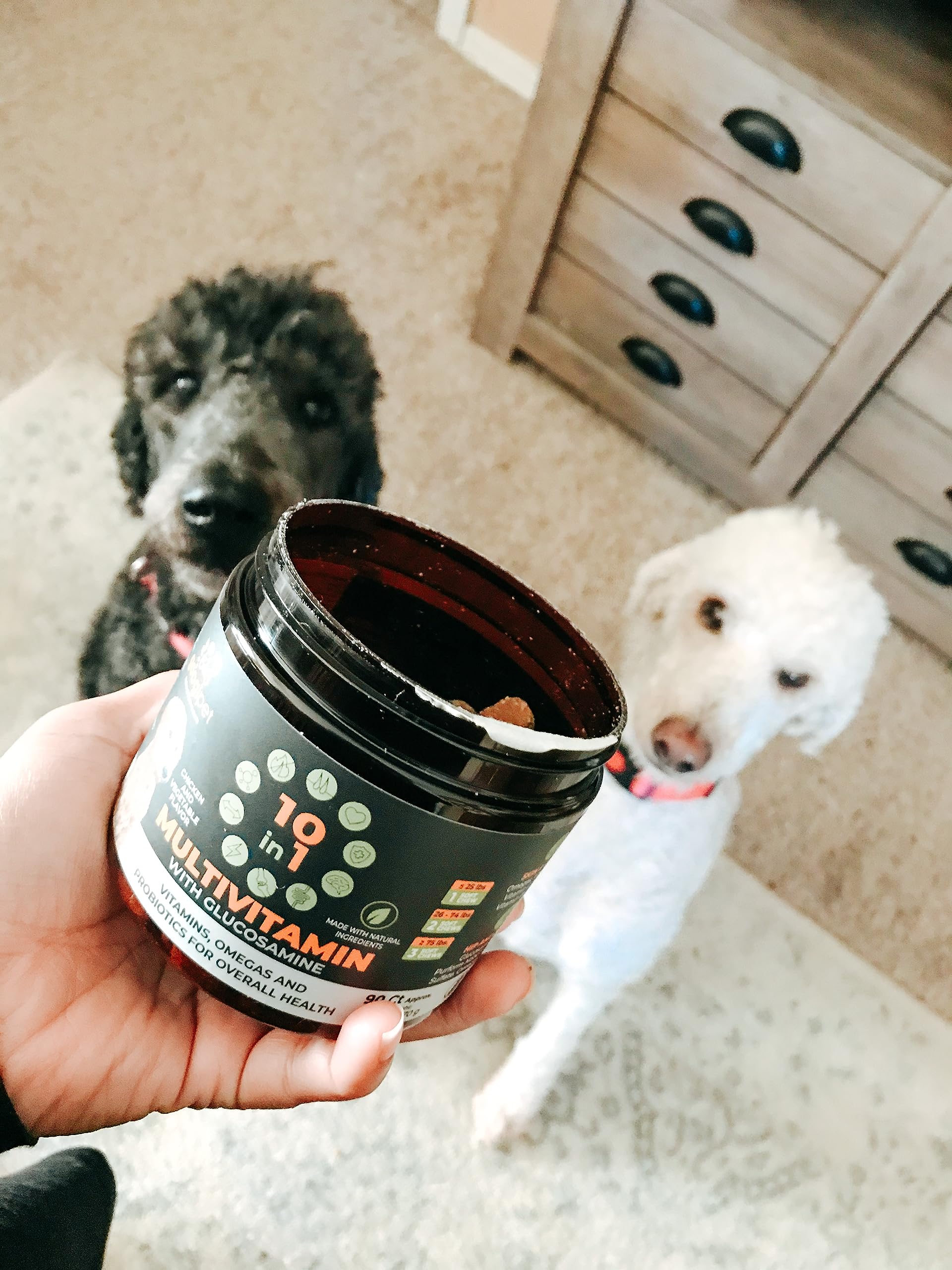 Googipet Multivitamin 2 Pack Bundle - 1 90 Count Chicken & Vegetable Flavor + 1 90 Count Peanut Butter & Pumpkin Flavor