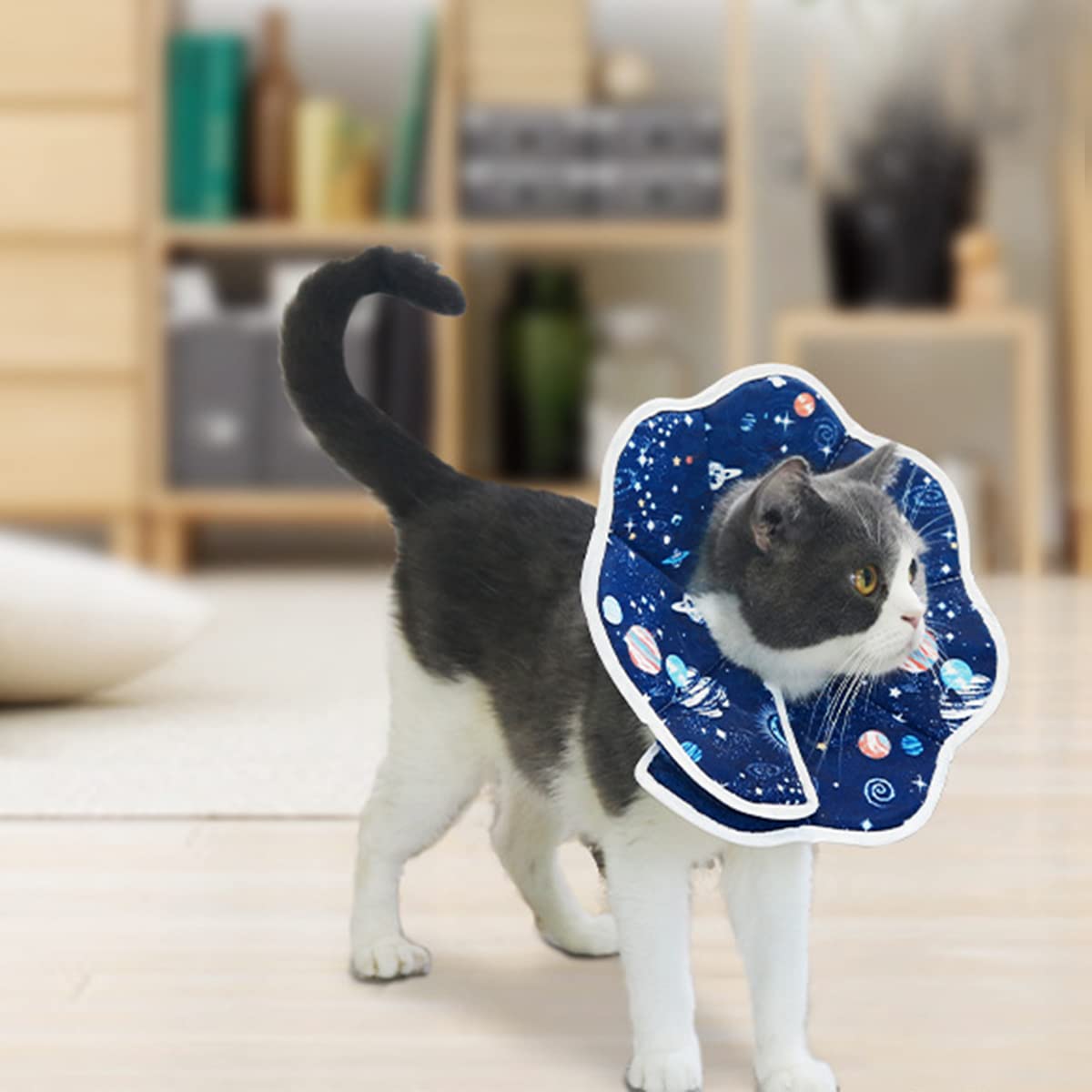 Avaner Cat Recovery Collar, Cat Cone Collar for After Surgery, Pet Protective Collar Adjustable or Small Medium Large Cats