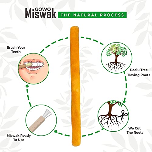 GOWO (10 Pack) Miswak Sticks Without Holders - Natural Teeth Whitening Kit - Natural Toothbrush - No Toothpaste Needed - Herbal Teeth Whitener and Breath Freshener - (Includes 10 Sticks Only)