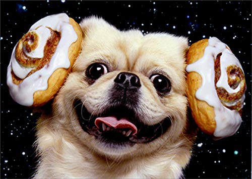 Avanti Dog Cinnamon Buns Funny/Humorous Birthday Card