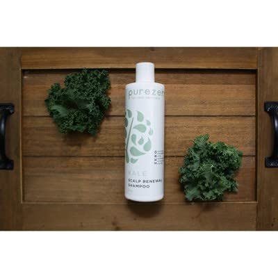 PUREZERO Kale Shampoo, 12 FZ