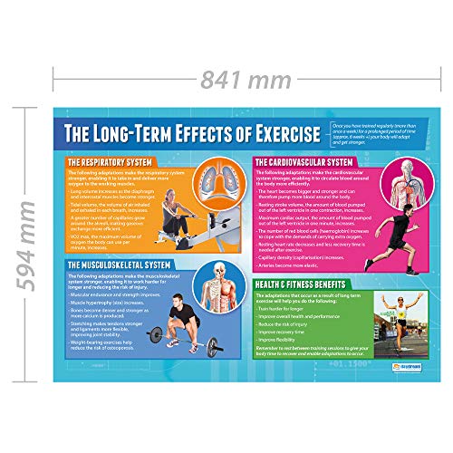 Daydream Education The Long-Term Effects of Exercise | PE Posters | Gloss Paper measuring 33β x 23.5β | Physical Education Charts for the Classroom | Education Charts