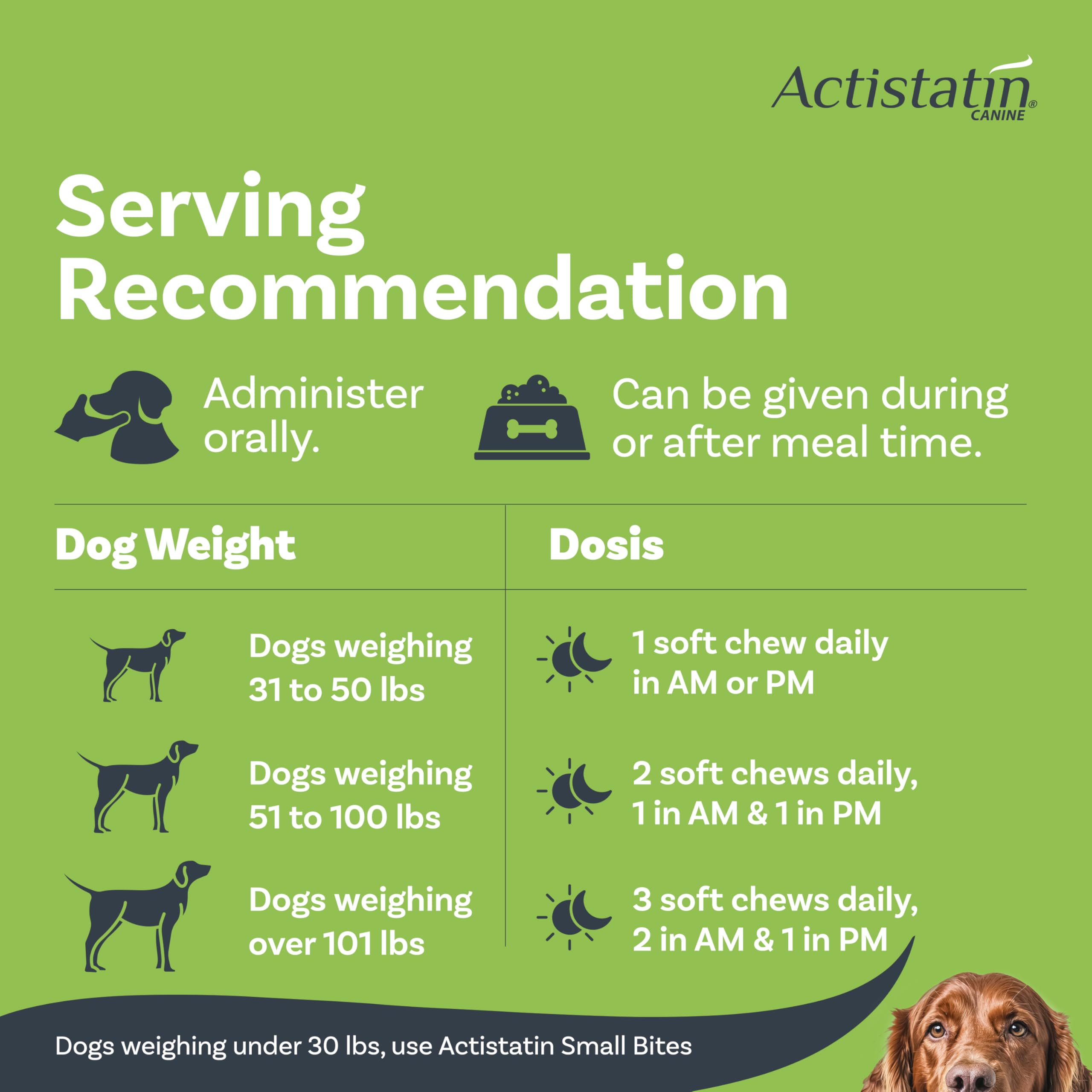 Actistatin Canine Large Dog Soft Chews, 120ct β Patented Extra-Strength Joint, Cartilage, Soft Tissue Supplement: Glucosamine, Chondroitin, Manganese, MSM, L-Carnitine β High Absorption, Fast Results