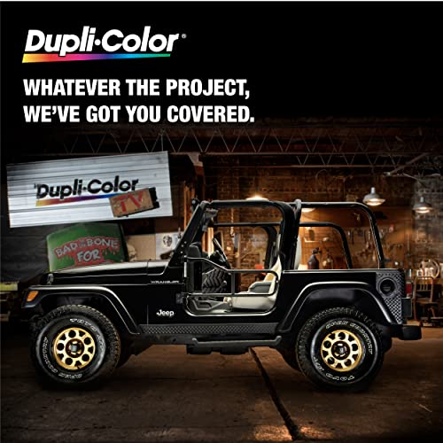 Dupli-Color ACC0443 Scratch Fix All-In-1 Exact-Match Automotive Touch-Up Paint – Chrysler Granite Crystal – 0.25 oz. Paint Pen