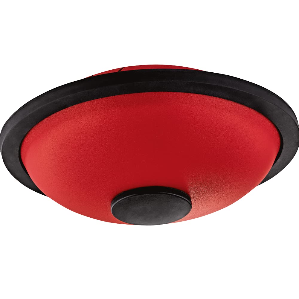 Nino Percussion Mini Melody Steel Tongue Drum with Mallets — for All Ages — Easily Create Songs, for Classroom Music, 2-Year Warranty (NINO980R)