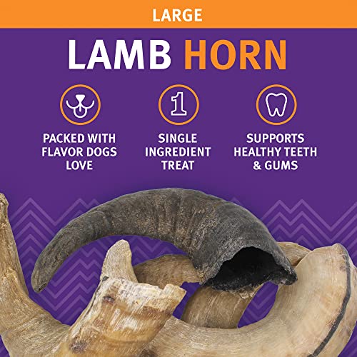 Icelandic+ Plus Large Lamb Horn Dog Chew