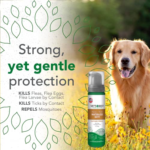 Vet's Best Flea & Tick Waterless Bath Foam for Dogs - Flea-Killing Dry Shampoo for Dogs - Plant-Based Ingredients - Certified Natural Oils - 8 oz