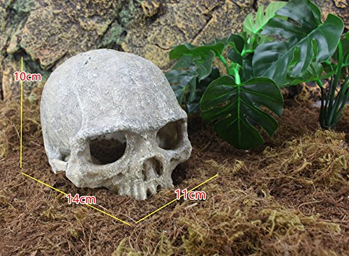 Hewnda Aquarium Decor Resin Artificial Head Skeleton Decoration - Aquarium Otaru Aquarium Decorative Cave Landscape Pet Reptile House