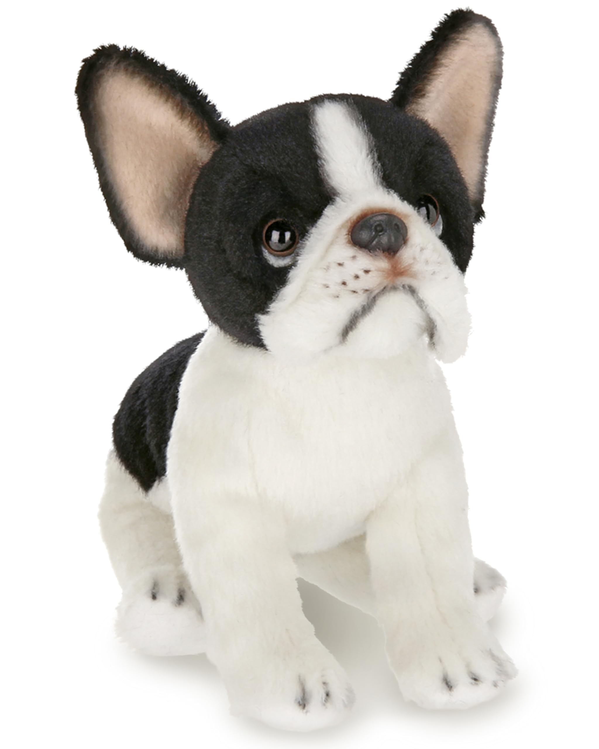 Bearington Collection Lil' Oliver The French Bulldog Stuffed Animal, 6 Inch Dog Stuffed Animal