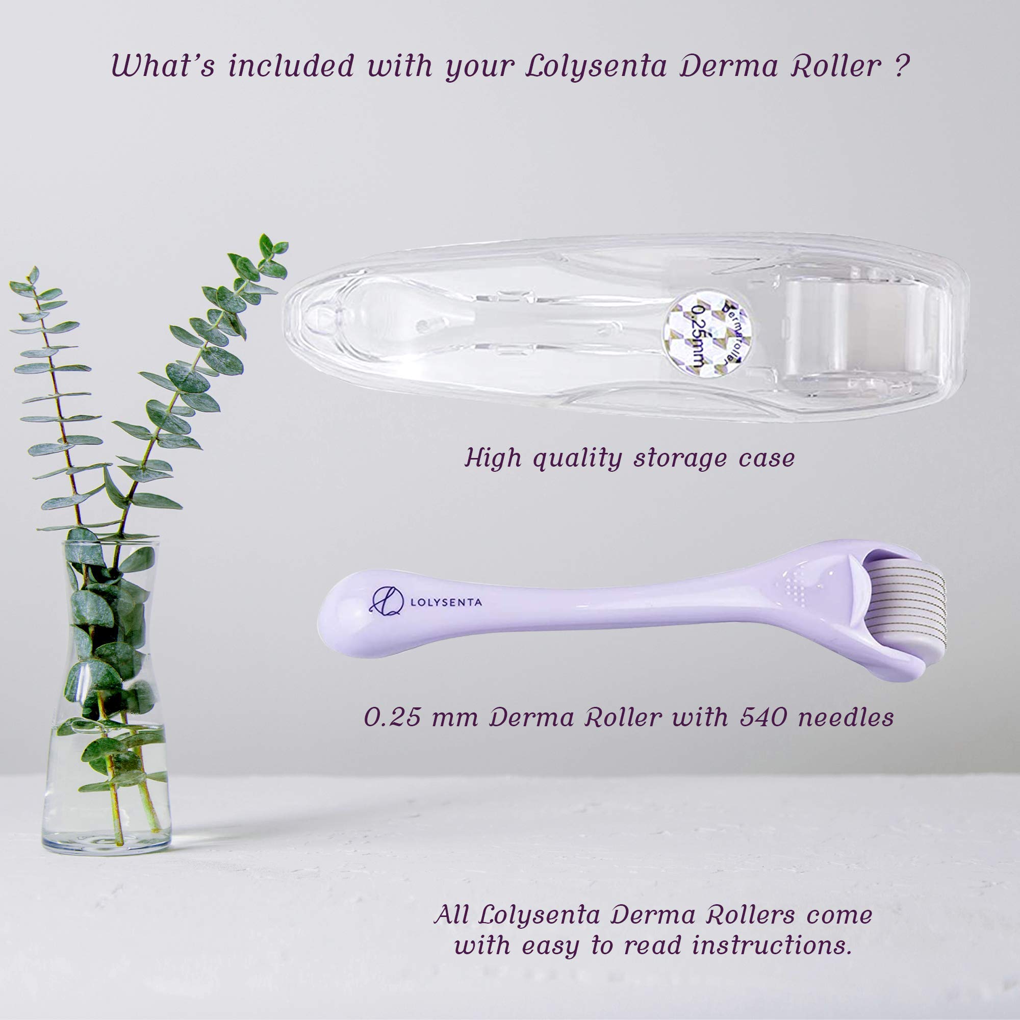 Lolysenta Derma Roller 0.25mm, Titanium Microneedle Roller for Face, Microdermabrasion Facial Roller, Microneedling Dermaroller, Includes Storage Case