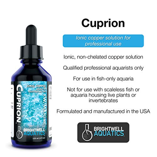 Brightwell Aquatics Cuprion - Ionic Copper Solution for Professional Use in Fish-Only Aquarium Tanks, 60-ml