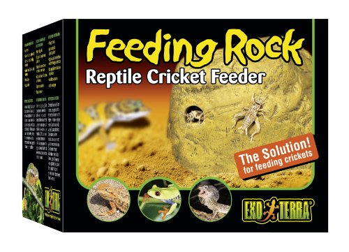 Exo Terra Reptile Cricket Feeder