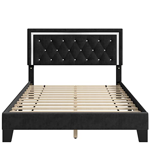 HITHOS Queen Bed Frame, Upholstered Platform Bed Frame with Modern Adjustable Headboard, Diamond Tufted Mattress Foundation with Wooden Slat Support, No Box Spring Needed, Easy Assembly (Queen, Black)