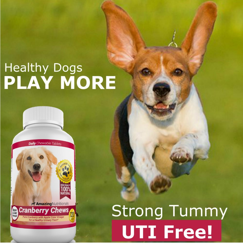 Amazing Cranberry Chews and Amazing Probiotic Joint for Dogs