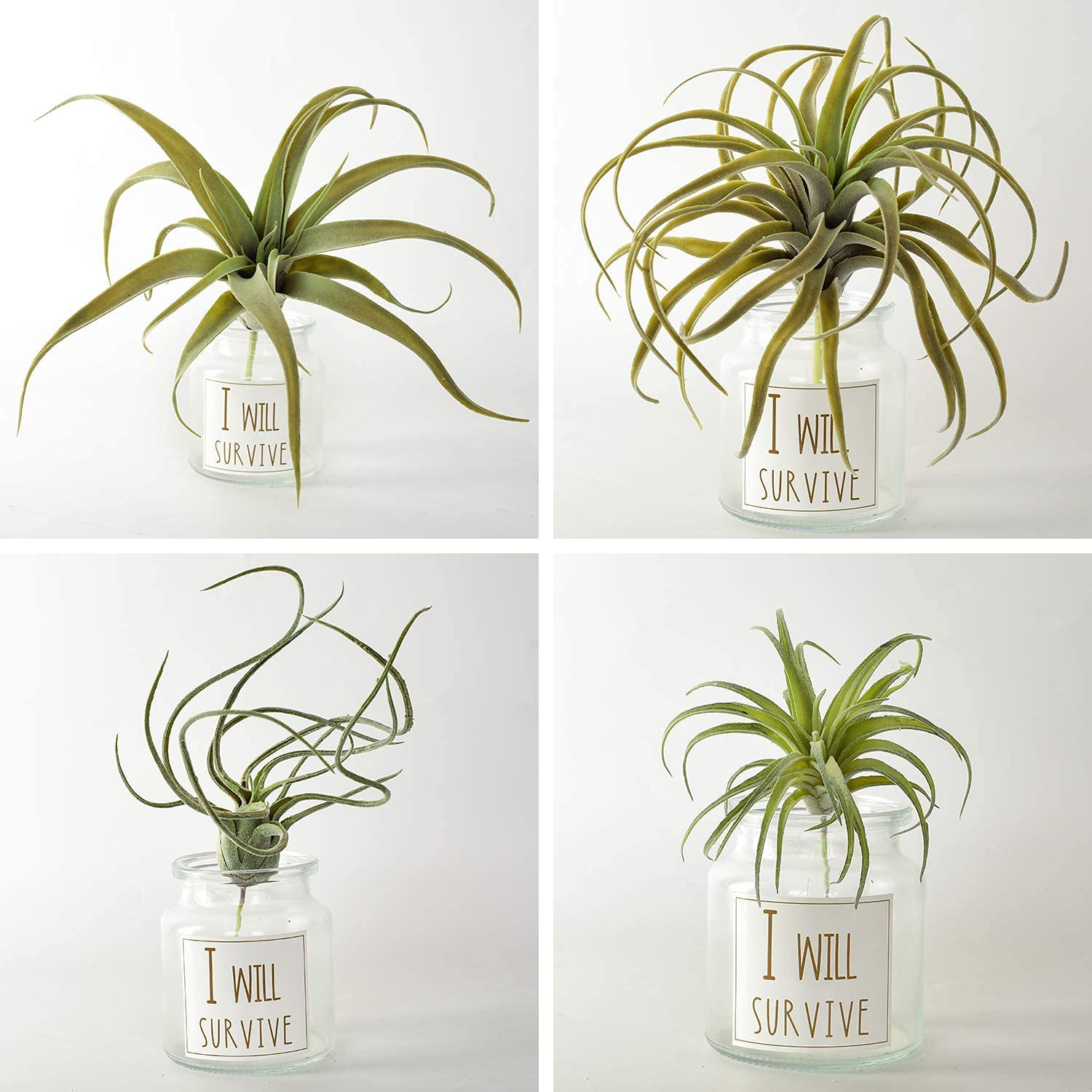 4Pack Artificial Pineapple Grass Air Plants Fake Flowers Faux Succulents Flocking Tillandsia Bromeliads Home Garden Decor,11 Inches