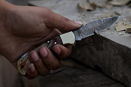 BCK Pocket Knife 4 Pcs Set 6.5" Handmade Damascus Folding Knife Back lock knife Damascus Hunting Knife with Sheath Damascus Pocket Knife for men 100% Prime Quality camping Knife (Brown Wood)