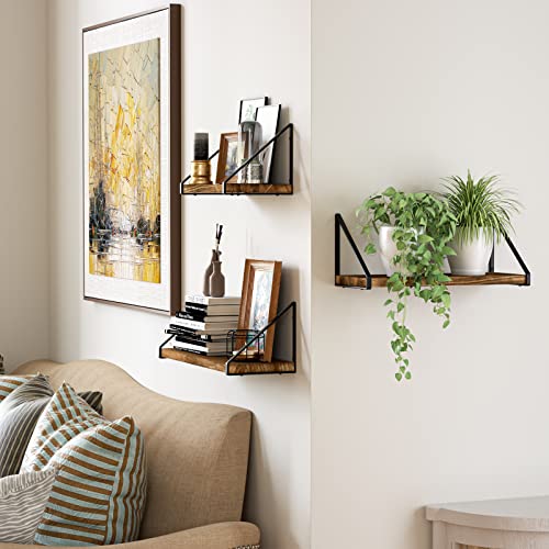 Love-KANKEI Floating Shelves Bundle(Contains 2 Items)