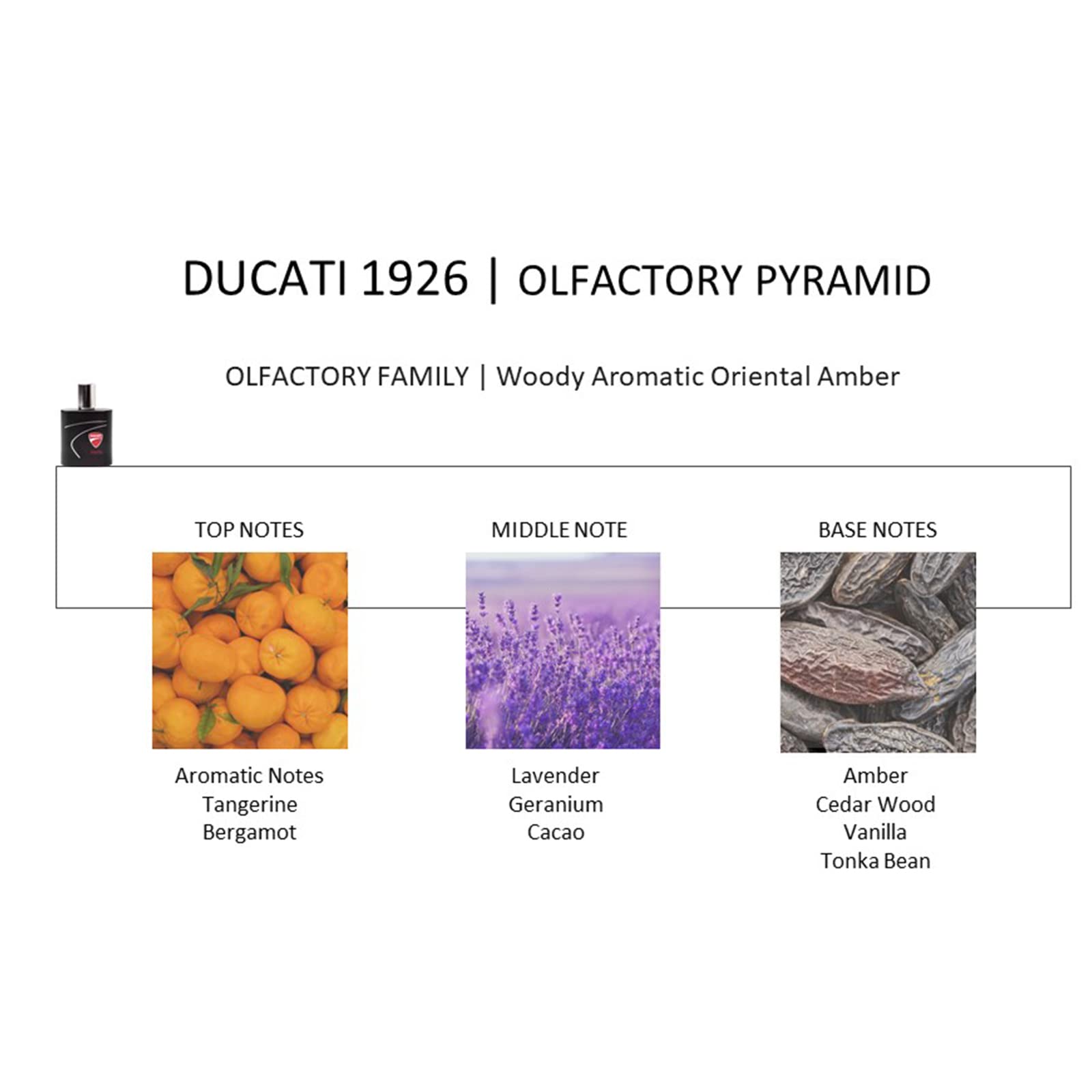 DUCATI Fragrance for Men - Aromatic Fougere Scent - Opens with Tangerine and Bergamot Notes - Blended with Lavender - For Intense and Bold Men Looking to Exude Style - 3.4 EDT Spray