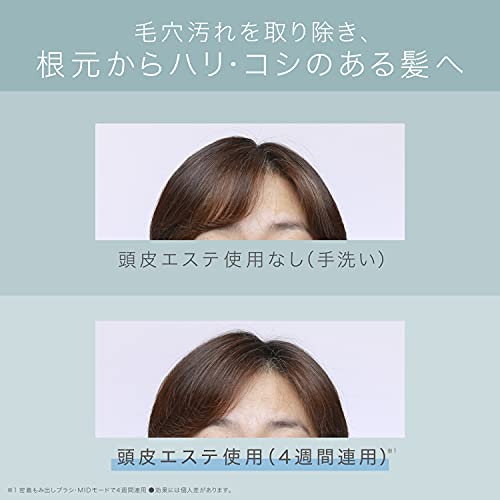 Panasonic EH-HE0G-T [Scalp Esthetic Salon Touch Type Spiral & Slide Brown Style] AC100-240V Shipped from Japan 2021 Released