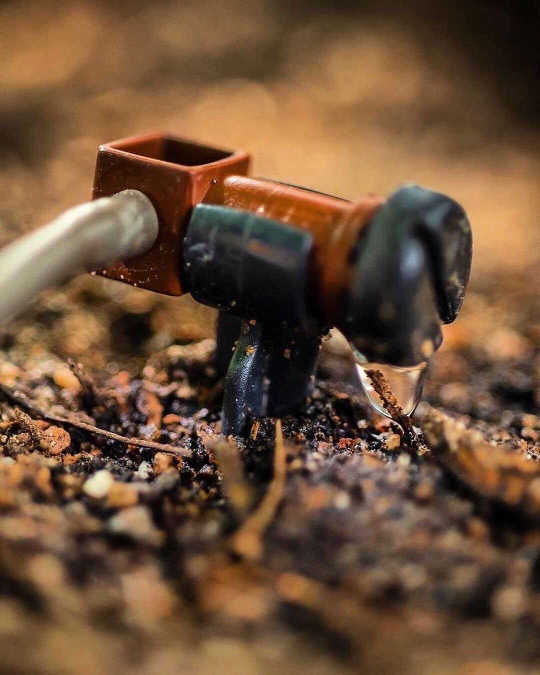Blumat 50 Distributor Drippers with 10 End Pieces to Attach to Watering System Parts | Water Evenly Garden, Balcony Plants (50 Pieces, 10 End Pieces)