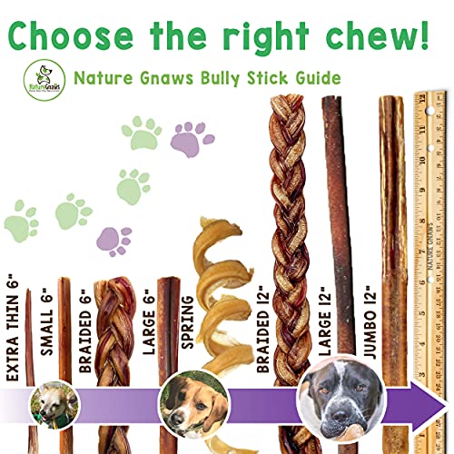 Nature Gnaws Bully Sticks for Dogs - Premium Natural Beef Dental Bones - Long Lasting Dog Chew Treats for Aggressive Chewers - Rawhide Free - Mixed Thickness 8 Ounce (Pack of 1)