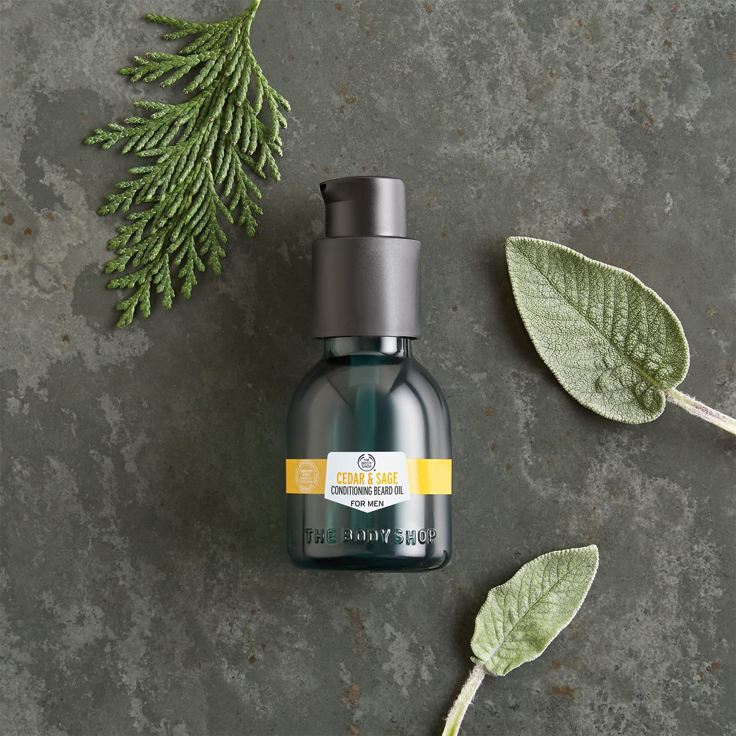 The Body Shop Cedar & Sage Conditioning Beard OIl – Improves Shine & Softens Skin – Vegan – 1 oz