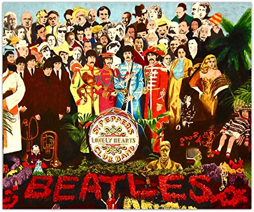 New Beatles Abbey Road Sargeant Pepper Plush Fleece Blanket Throw 50x60 for Lap Sofa Bed Wall Home Decor