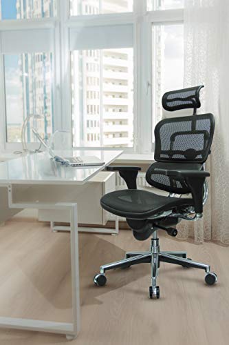 Eurotech Seating Ergohuman High Back Mesh Managers Chair, Black