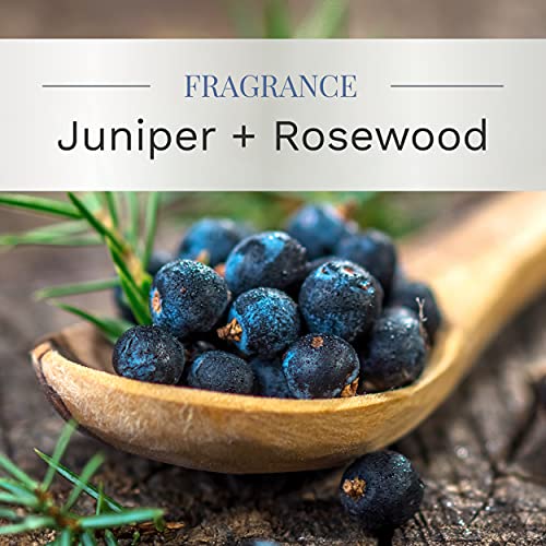 Essential Elements by Candle-lite Scented Candles Juniper & Rosewood Fragrance, One 9 oz. Single-Wick Aromatherapy Candle with 50 Hours of Burn Time, Off-White Color