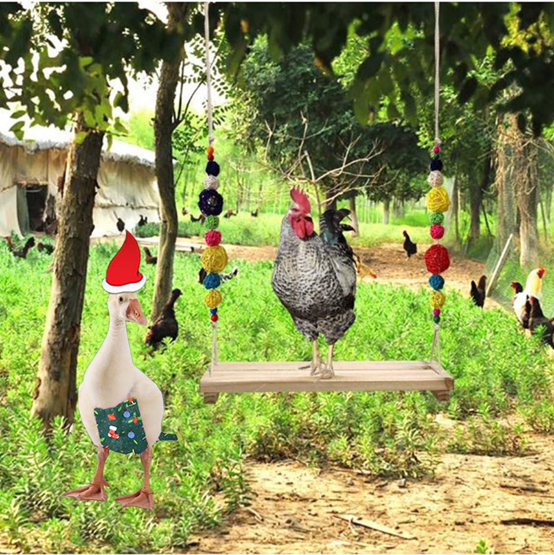 ZJW Chicken Diapers, Duck Diapers, Adjustable Poultry Cloth, Washable and Reusable, Suitable for Holidays, Birthdays, Celebration Party Gifts(S), Green