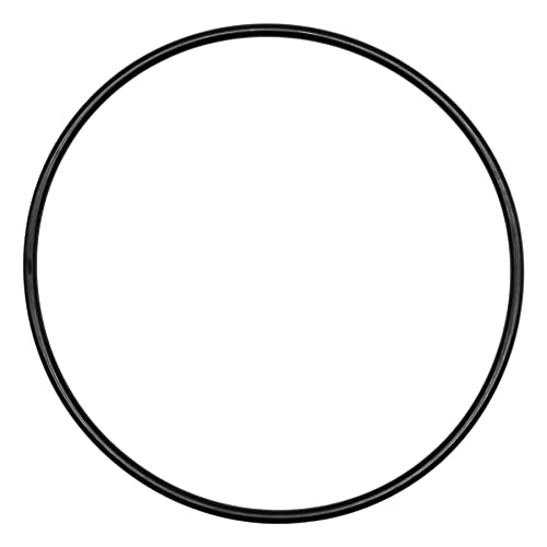 87300400 Body Filter O-Ring for Clean & Clear Predator Warrior R&S 447 Sta-Rite U9-389 Pool Filter Tank System (Set of 1)