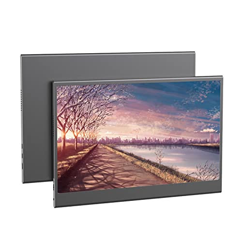 Airr 15.6-inch Portable Display, 1080P HD Computer Monitor, IPS Extension Display with USB Type C/Mini HD, Built-in Speaker