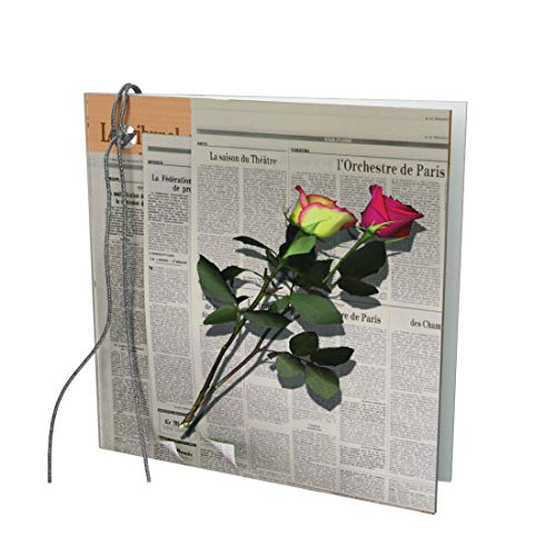 Gift Box 10"X10"X10" - Les Roses Collection - Easy to Assemble & Reusable - No Glue Required - Ribbon, Tissue Paper, and Gift Tag Included - EZ Gift Box by Endless Art US