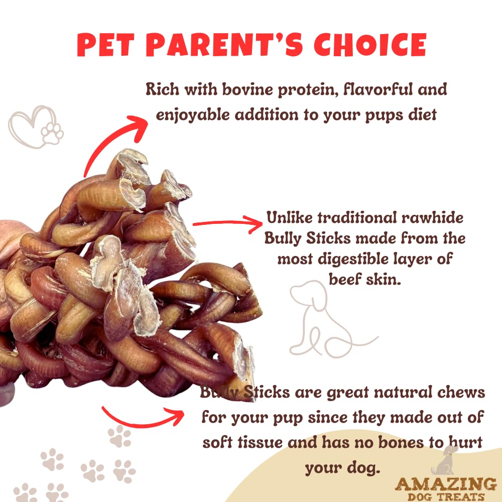 Amazing Dog Treats 6" Braided Bully Stick (10 Pcs/Pack) - Bully Stick for Dogs - Made from Premium Grass Fed Argentinian Beef