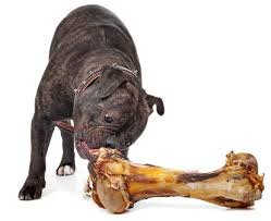 EcoKind Dog Bone Giant Femur Bone for Dogs | 1 Bone | Long Lasting Mammoth Dog Bones for Aggressive Chewers, Rawhide Free Healthy Dog Treat, Large Bones, Digestible Dog Chews & USDA Certified