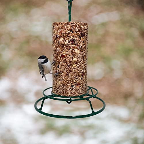Birdie Blends Birdie Banquet Bugs, Nuts and Fruit Bird Seed 4" Cylinder for Wild Birds (2-Pack)