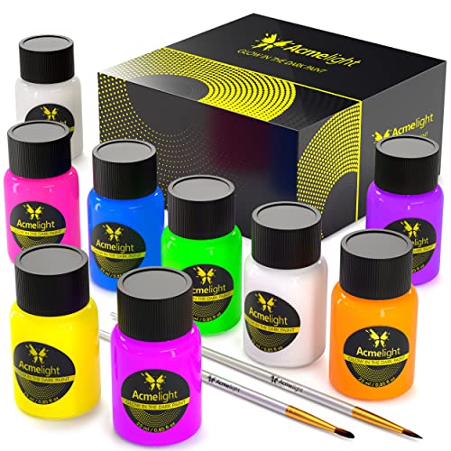 Acmelight Glow in the Dark Acrylic Paint - Fluorescent Paint for Canvas - Neon Decoration - Blacklight Paint Set β Art Supplies for Adults - Craft Gift for Artists
