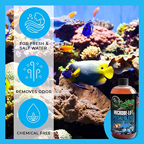 ECOLOGICAL LABS MicrobeLift Special Blend (4 oz)